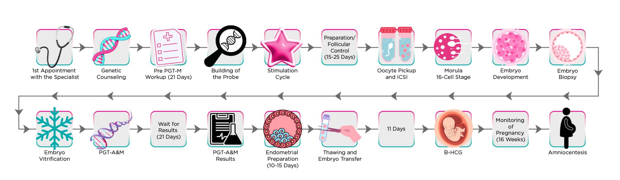 Preimplantation Genetic Testing - Sharsheret