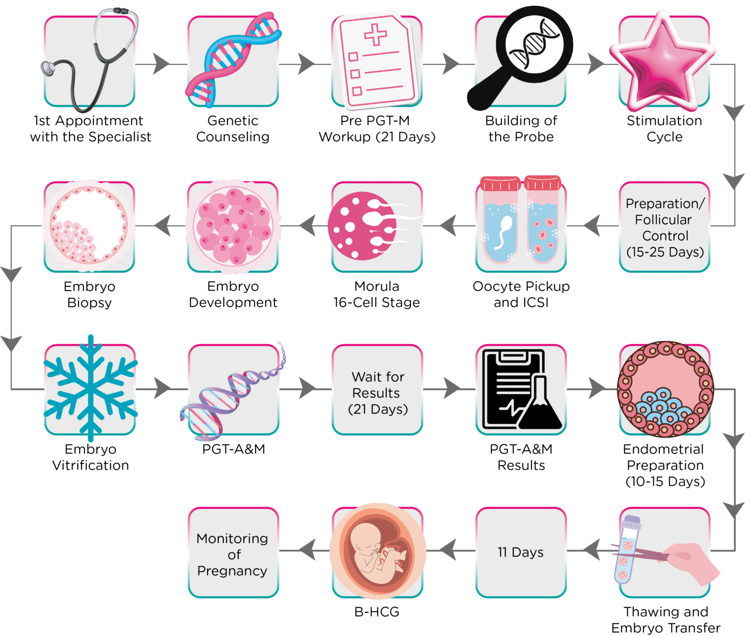 Preimplantation Genetic Testing - Sharsheret
